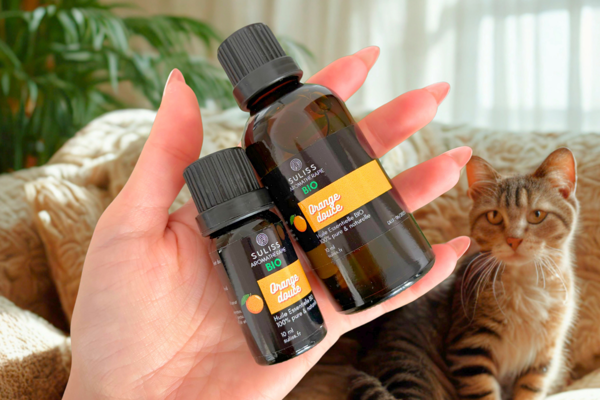 Huile Essentielle Pour Chat